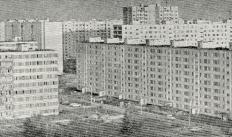 Microrayon Definition